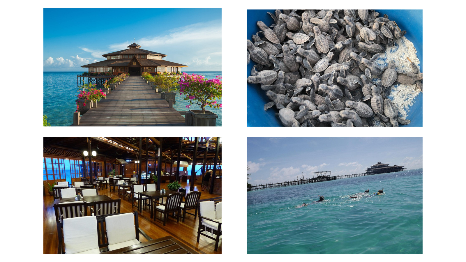 Beach Resorts in Sabah Borneo | Seaside Stays & Island Escapes ...